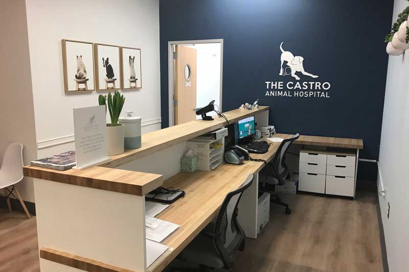 Locations | The Castro Animal Hospital